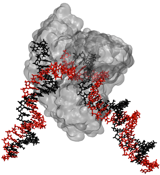 DNA-Protein Interactions