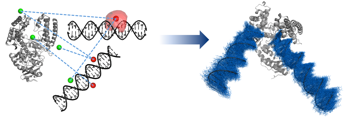 Integrative Structural Biology